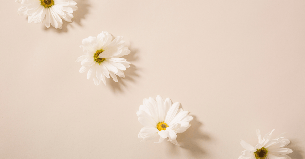 Chamomile RESTORE Perfection – calm for skin & hair with power fro